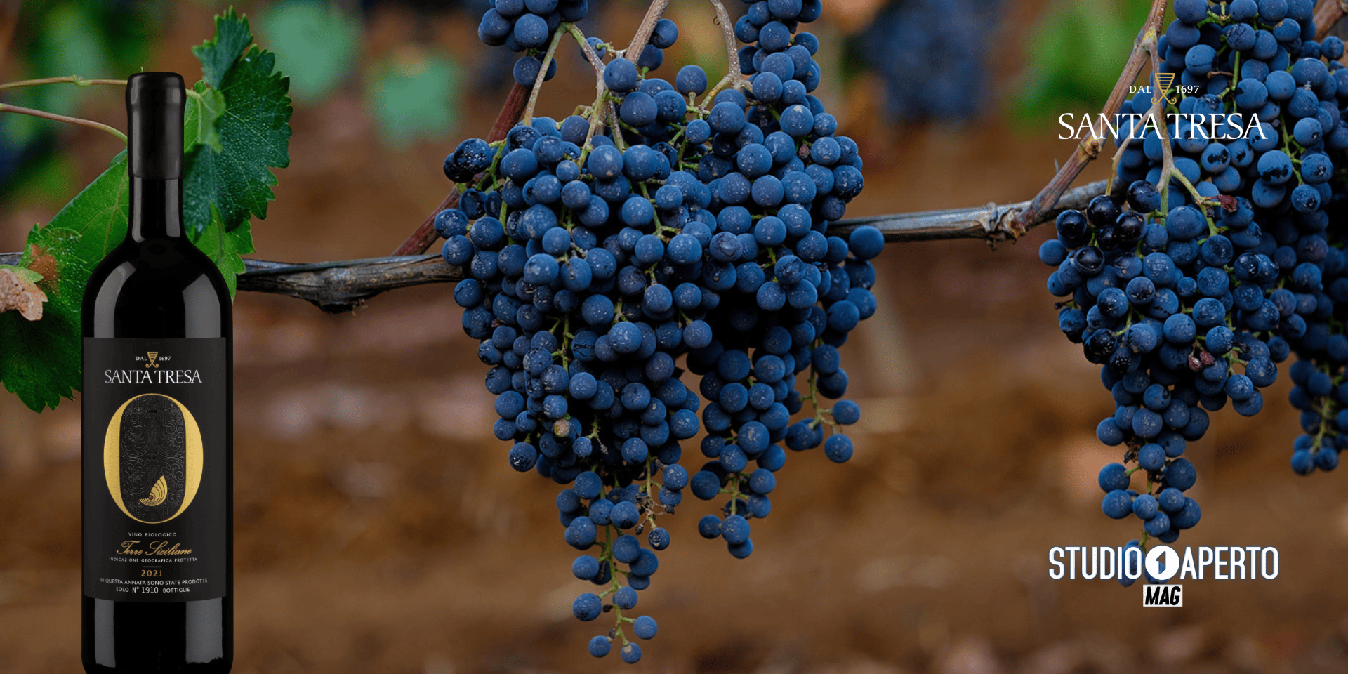 Santa Tresa Featured on Studio Aperto MAG with Orisi Terre Siciliane ...